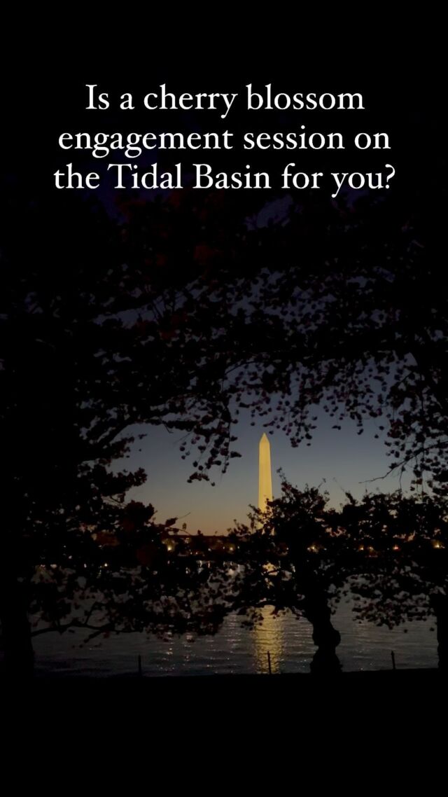 Washington DC Wedding Photography | Procopio Photography